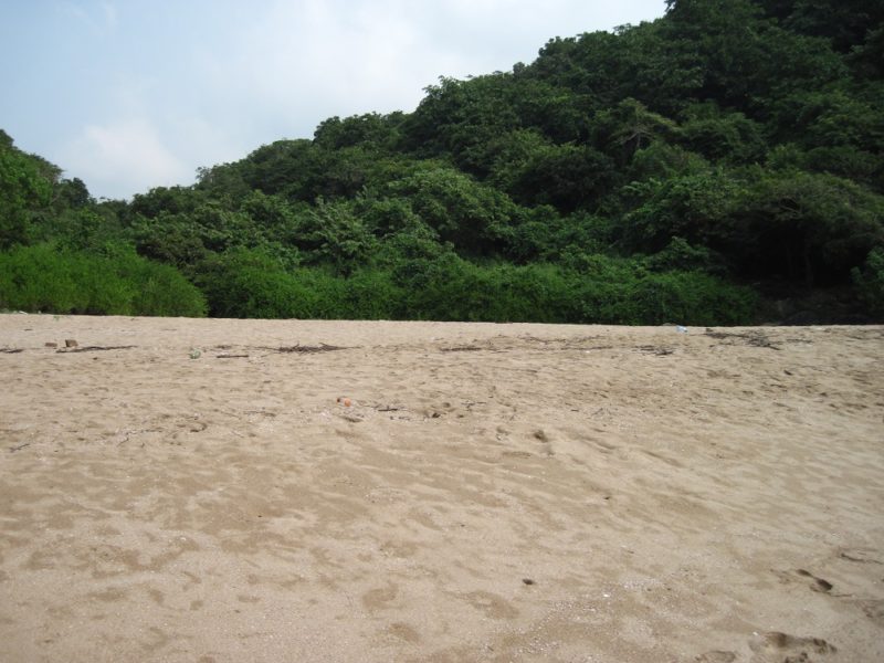 Butterfly Beach Goa: Nature’s Undiscovered Treasure Trove – Beaches Of ...